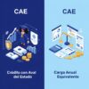 Cómo diferenciar CAE (Carga Anual Equivalente) y CAE (Crédito con Aval ...